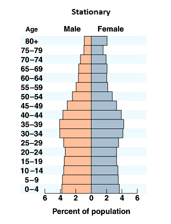 What are the different types of population pyramids? | Population Education